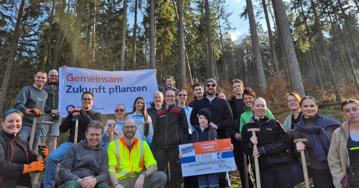 Baumpflanzaktion im Gerichtswald | Gemeinde Linsengericht
